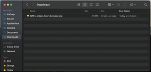 Tutorial – NAPLAN | GO > BSC